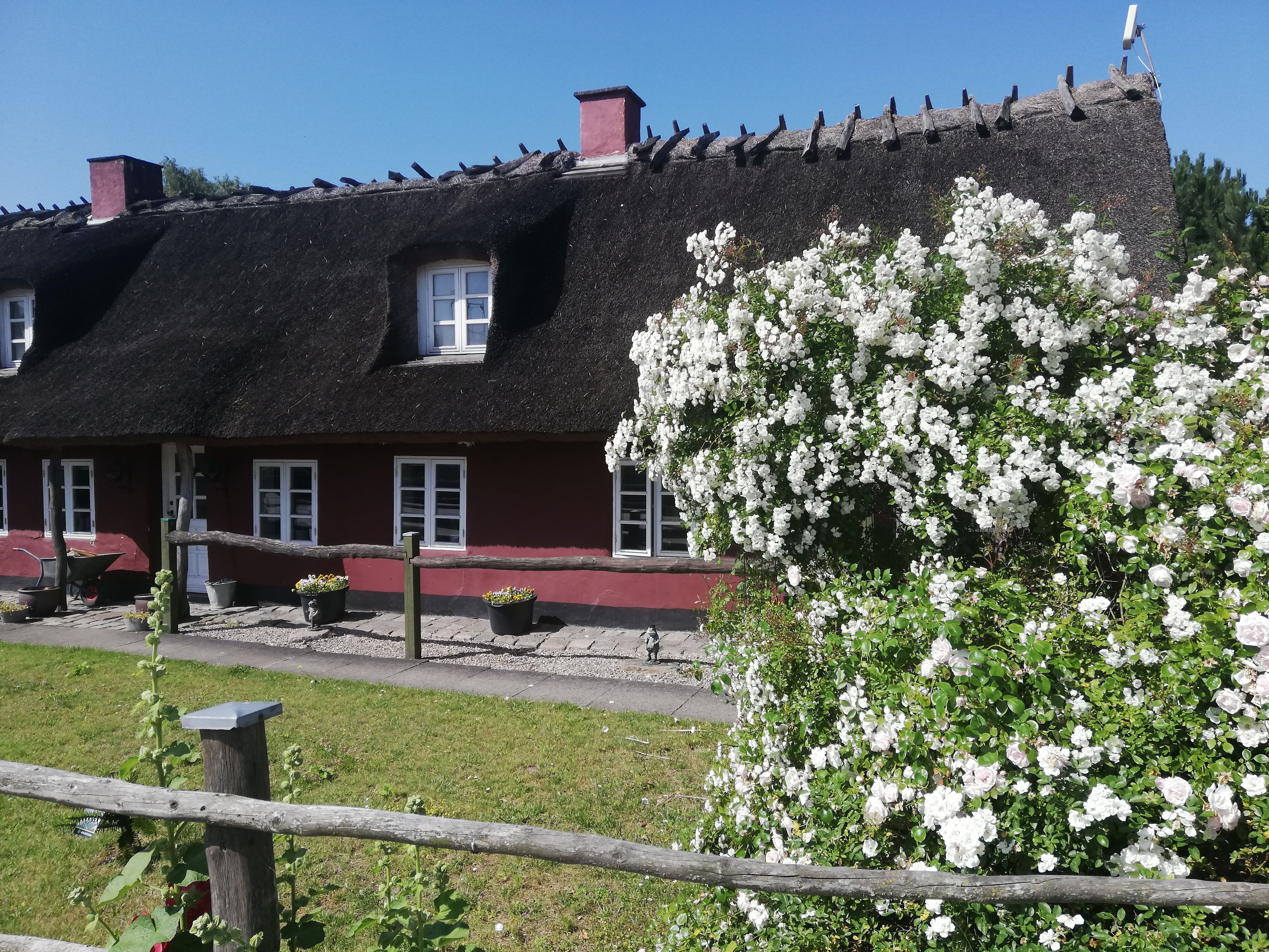 Kvinde søges til roligt og frit bofællesskab. - 36 m² - 4.800 kr